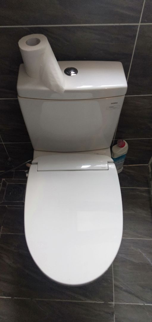 Nắp rửa cơ TOTO Eco washer TCW07S chính hãng cao cấp