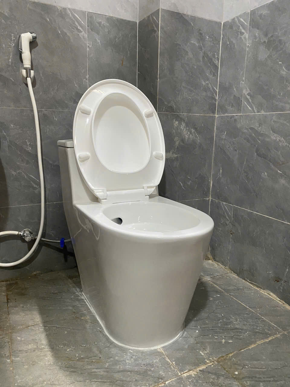 Bồn cầu 1 khối nắp êm Viglacera V823 (+ vòi xịt VG826)