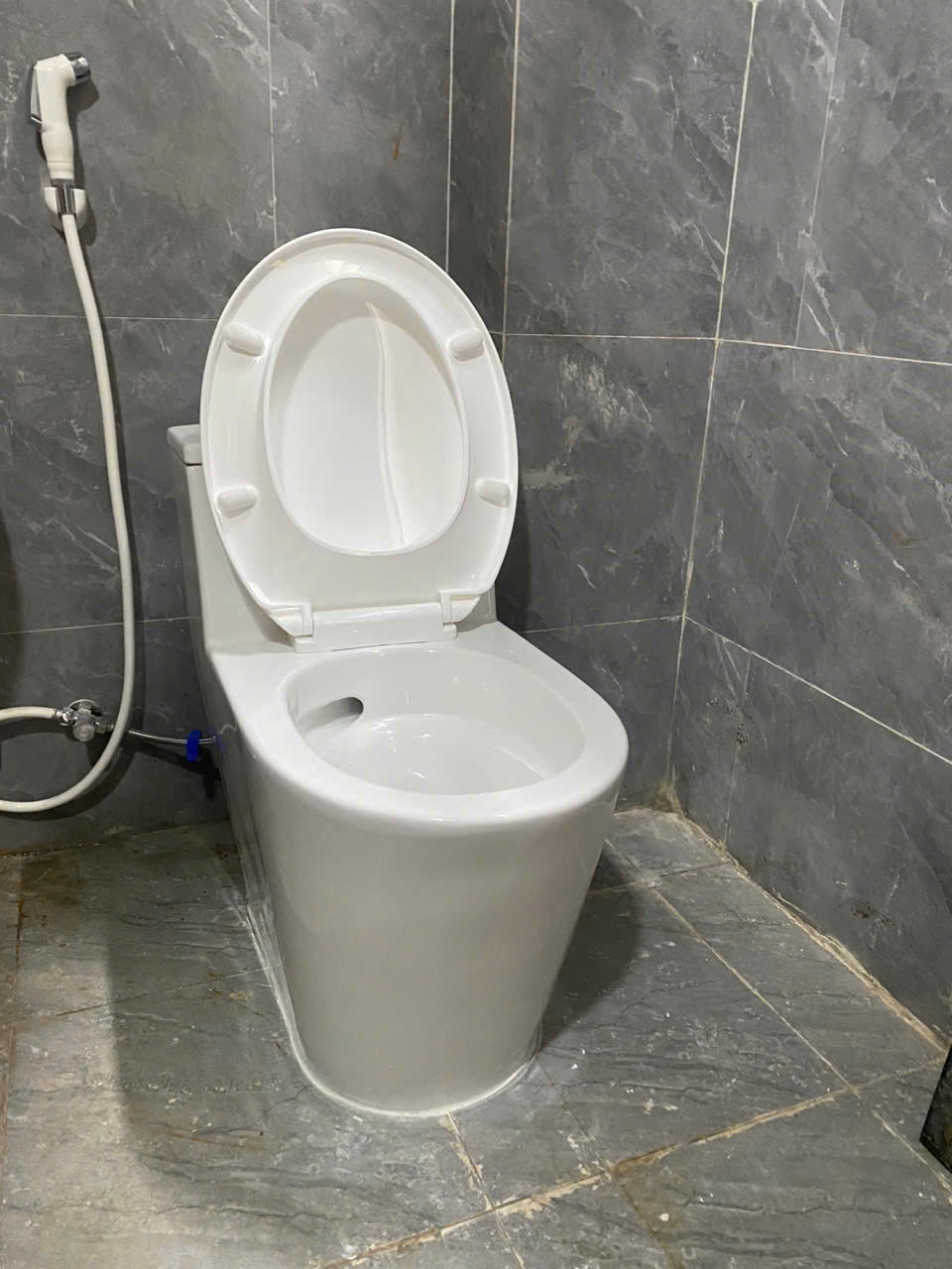 Bồn cầu 1 khối nắp êm Viglacera V823 (+ vòi xịt VG826)